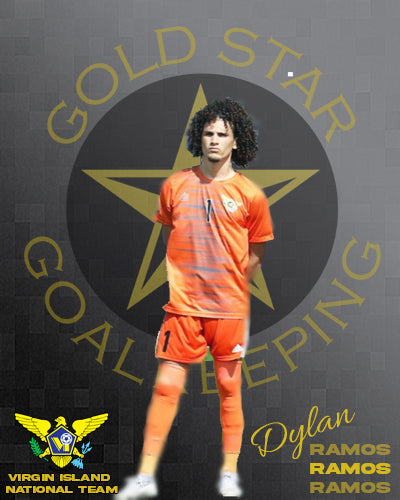 Pro Team – Gold Star Goalkeeping LLC